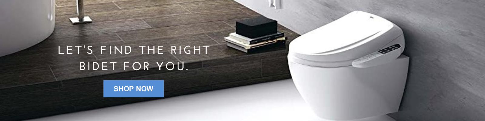 EverFlow Bidets: Top-Rated Bidet Seats and Bidet Toilet Combinations